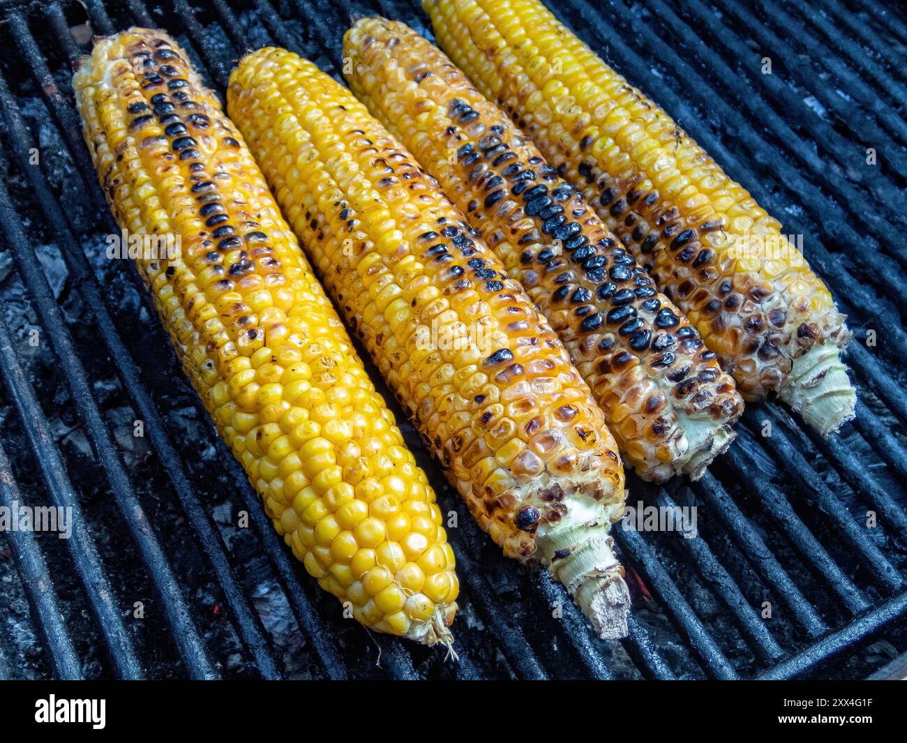 sweet corn on charcoal grill Stock Photo - Alamy