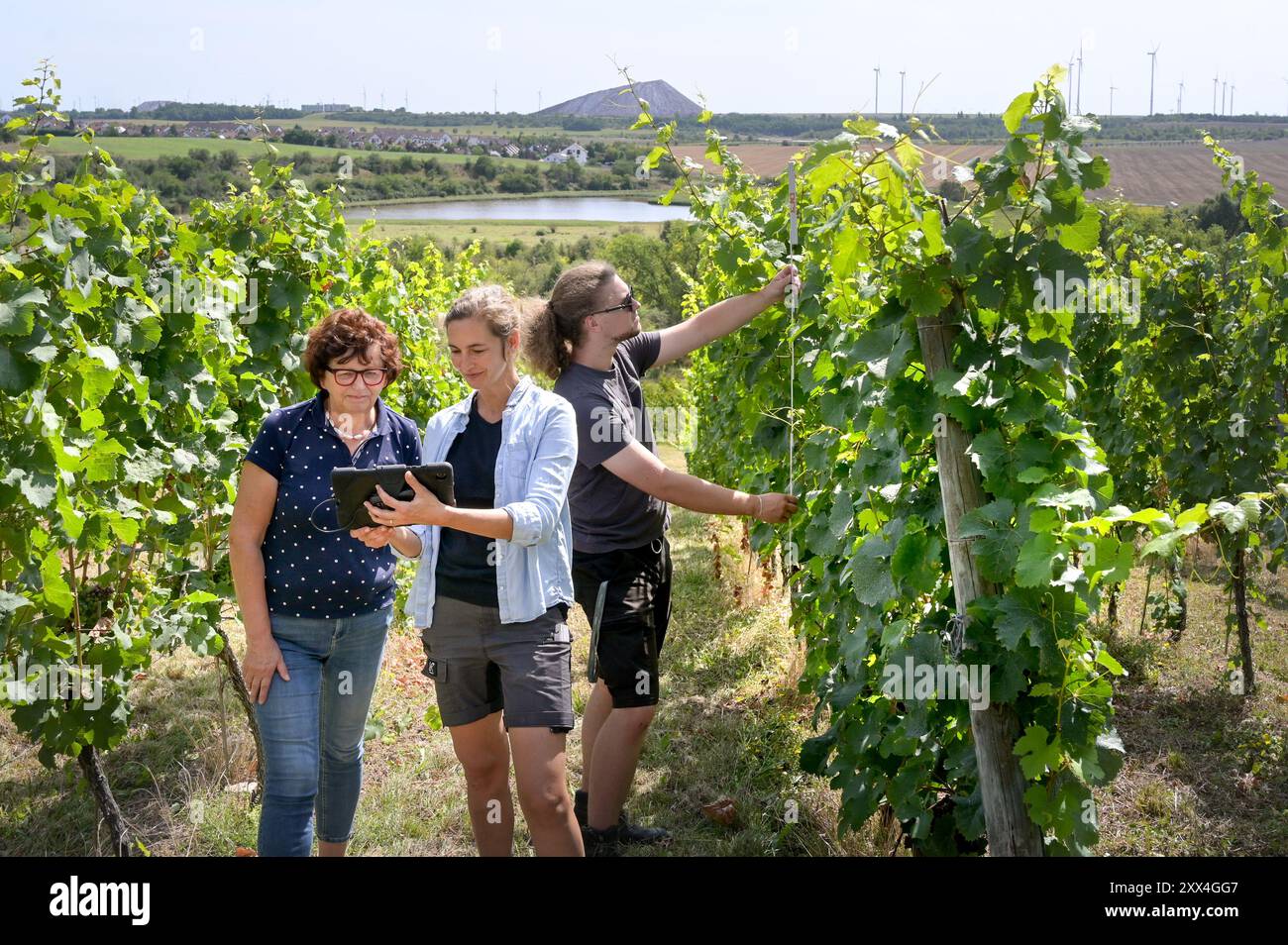 Gregor fedotov hi-res stock photography and images - Alamy