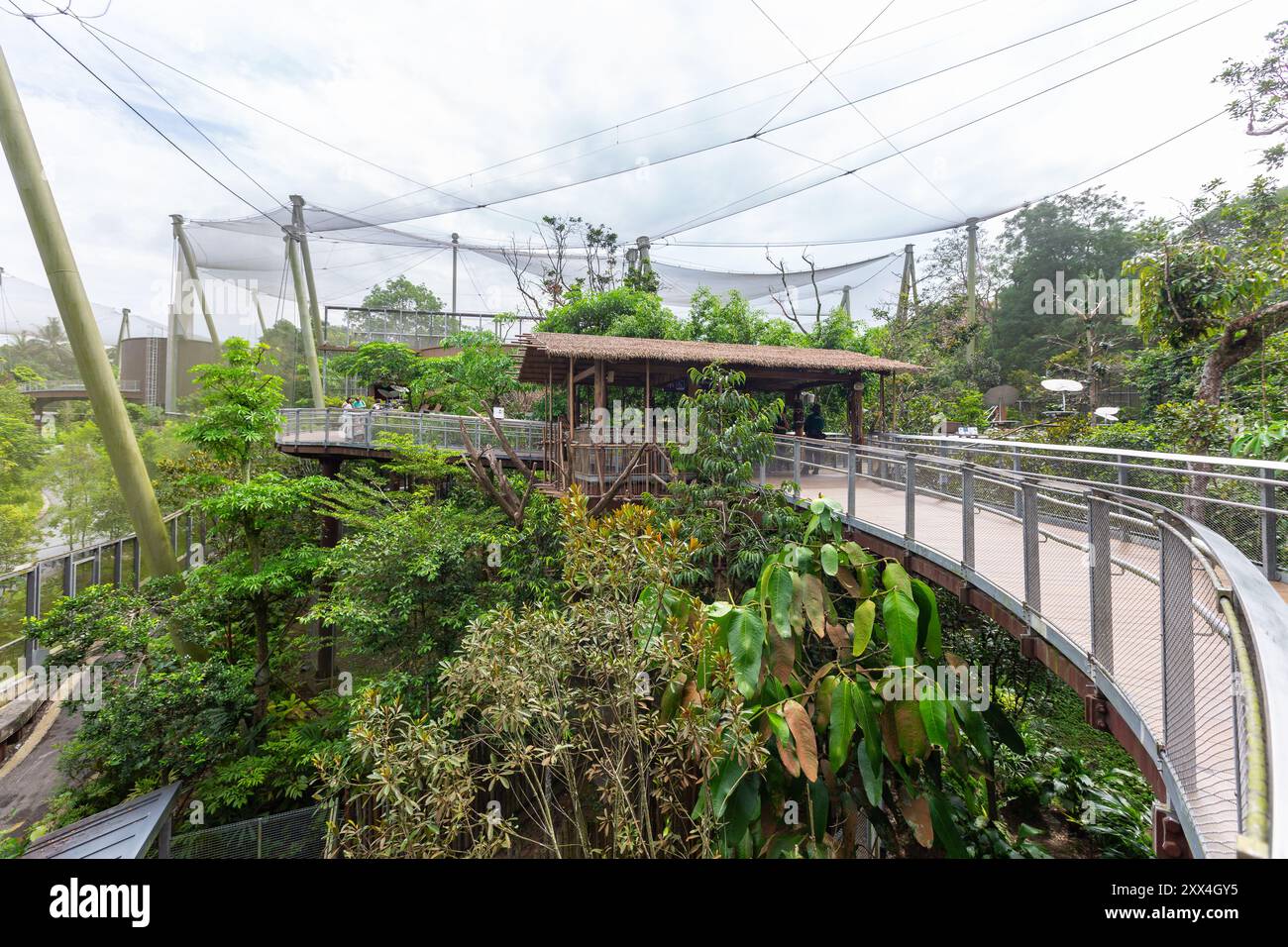 Airy elevated walkway within the aviary at Bird Paradise for visitors ...