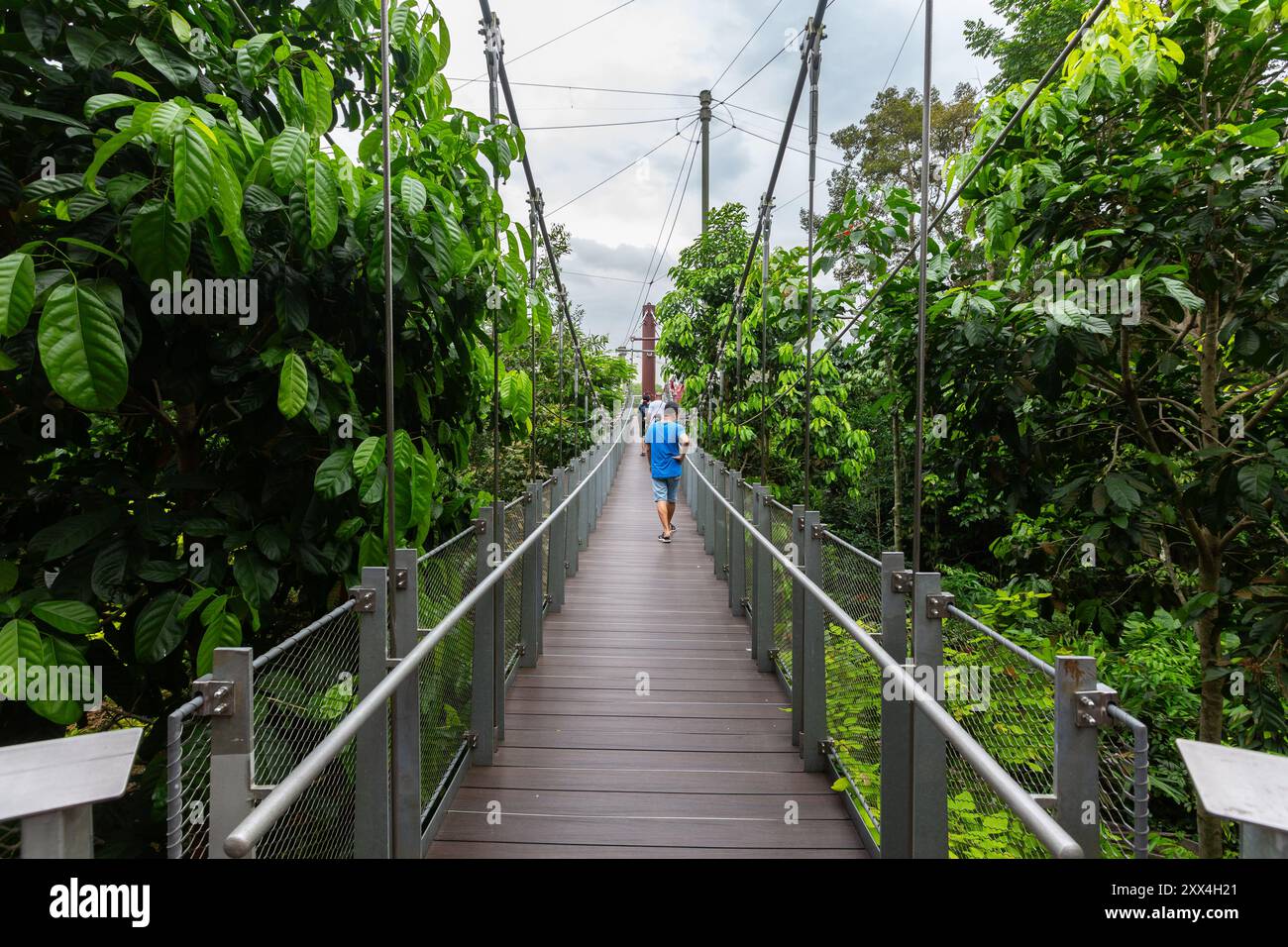 Mandai wildlife bridge hi-res stock photography and images - Alamy