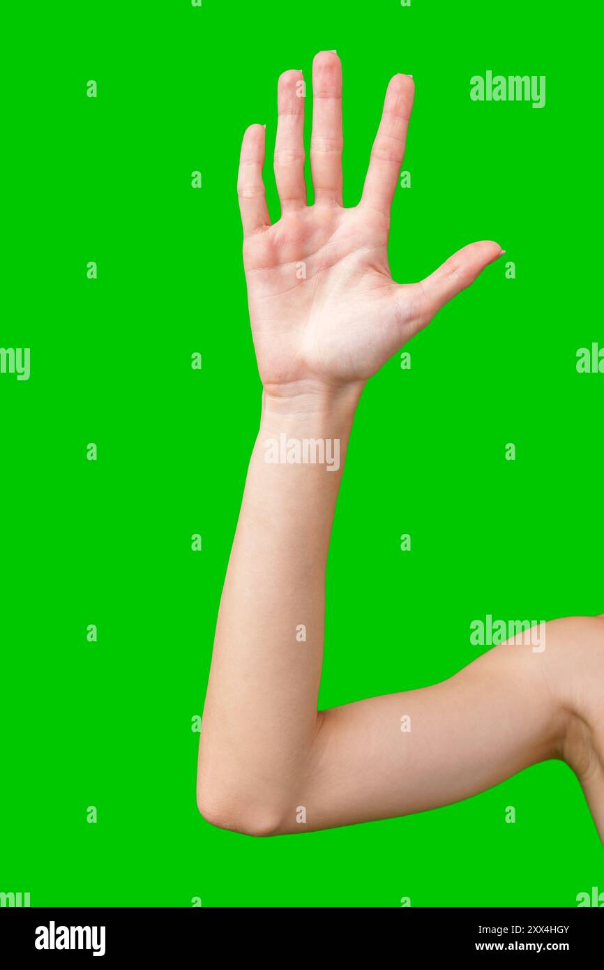 Woman's Right Arm Extended With Open Palm Against Green Screen Stock ...