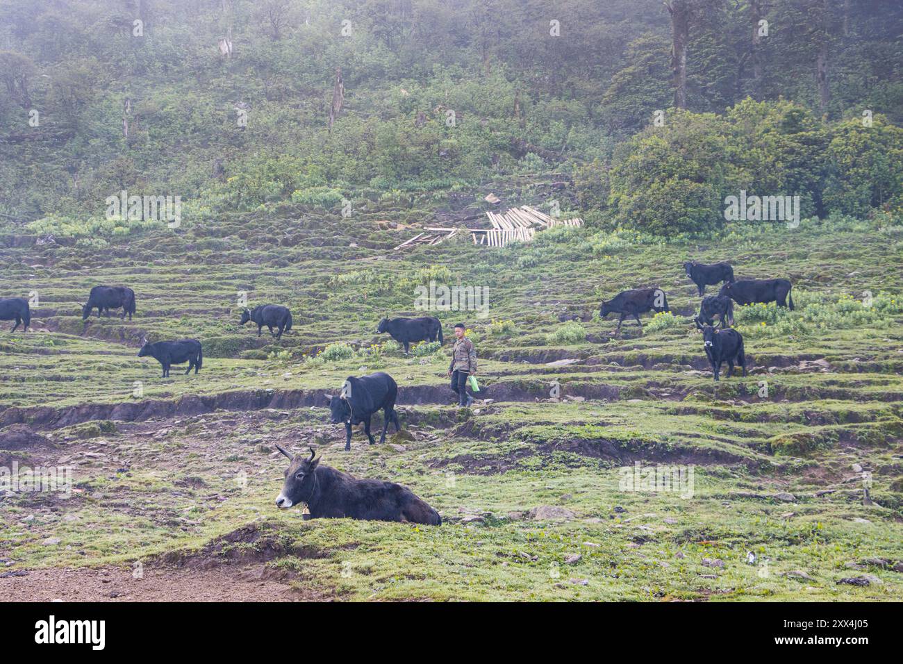 Hillocks hi-res stock photography and images - Alamy