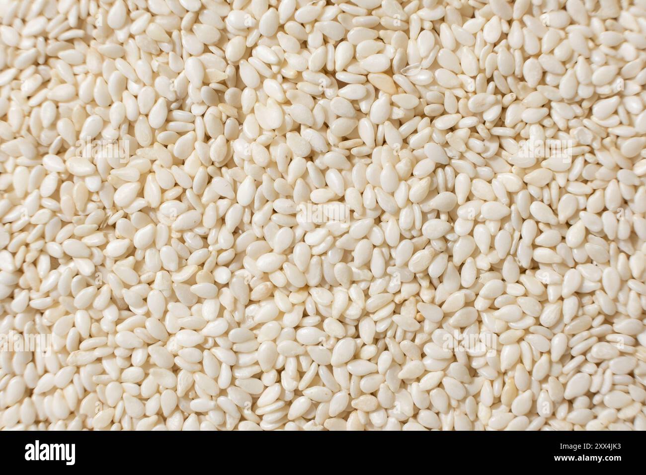 White sesame background, macro top view Stock Photo - Alamy