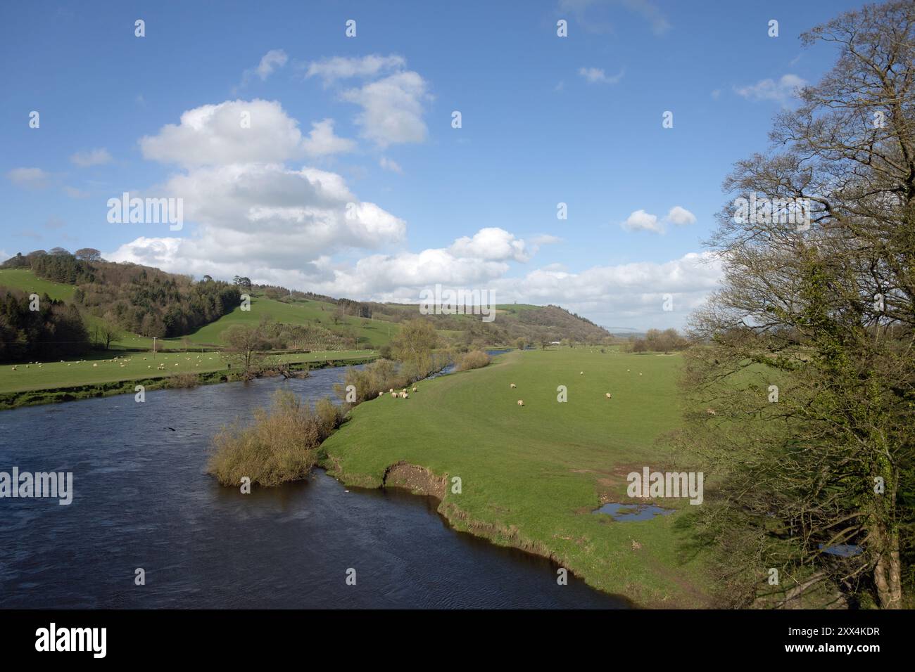 The River Lune at the Crook of Lune near Caton Lancaster England Stock ...