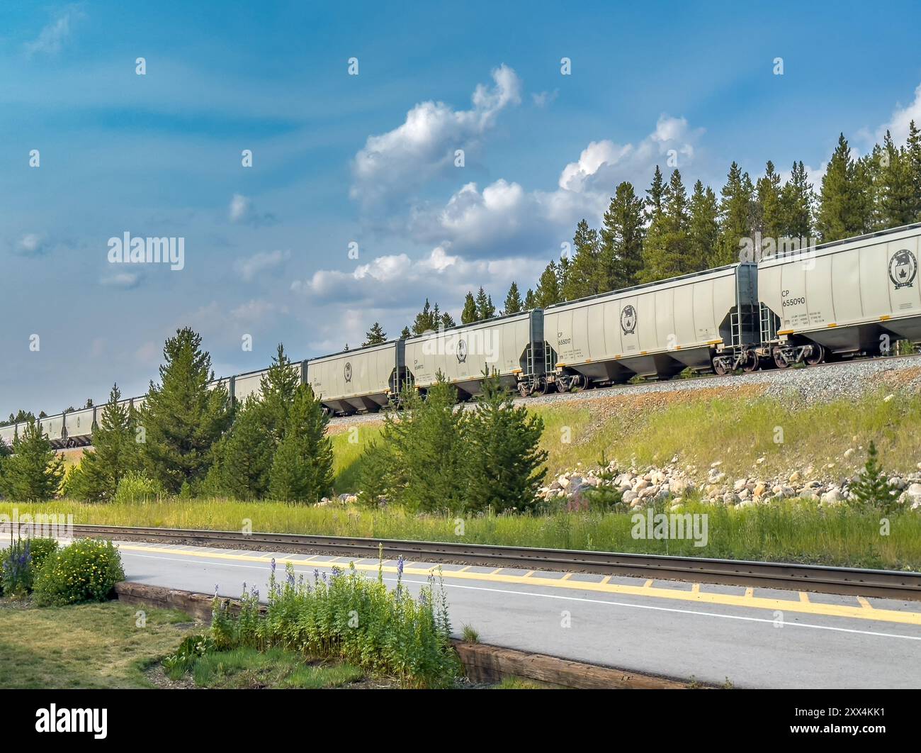 Banff, Alberta - 8.13.2024: Canadian Pacific rail cars moving down a track Stock Photo - Alamy