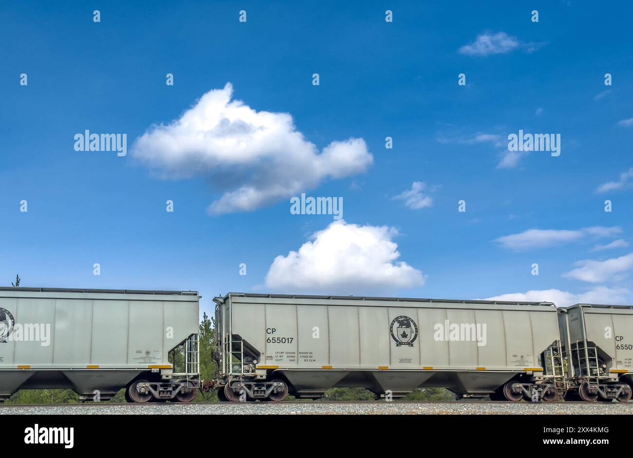 Banff, Alberta - 8.13.2024: Canadian Pacific rail cars moving down a track Stock Photo - Alamy