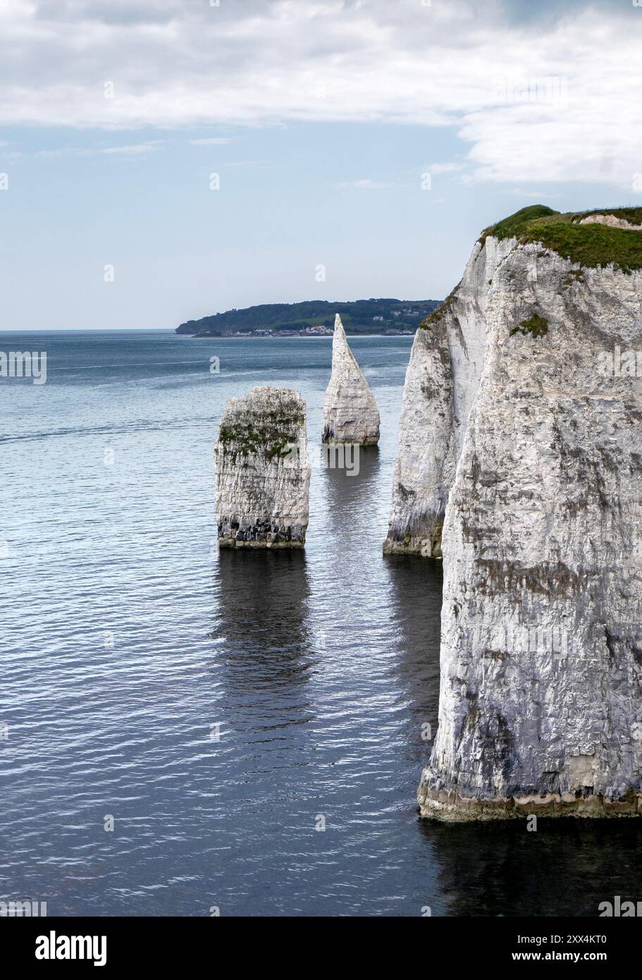 Handfast point near old harry rocks hi-res stock photography and images ...
