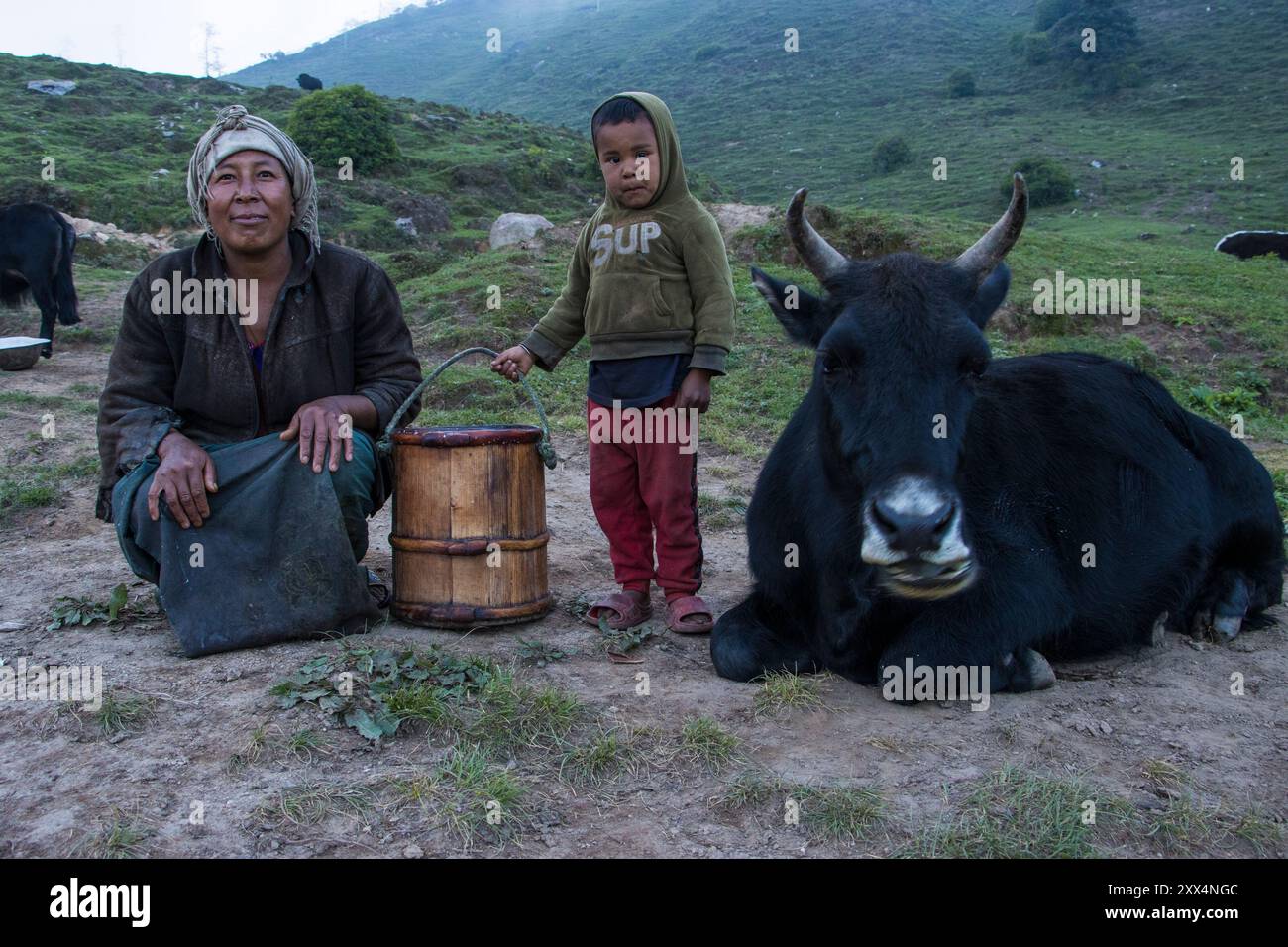 A baby chauri herder with his favorite chauri and mother in Sailung ...
