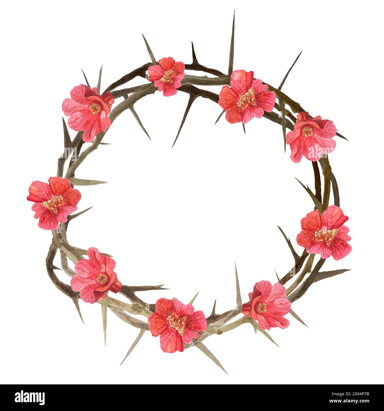 Crown of thorns with pomegranate flowers watercolor illustration ...