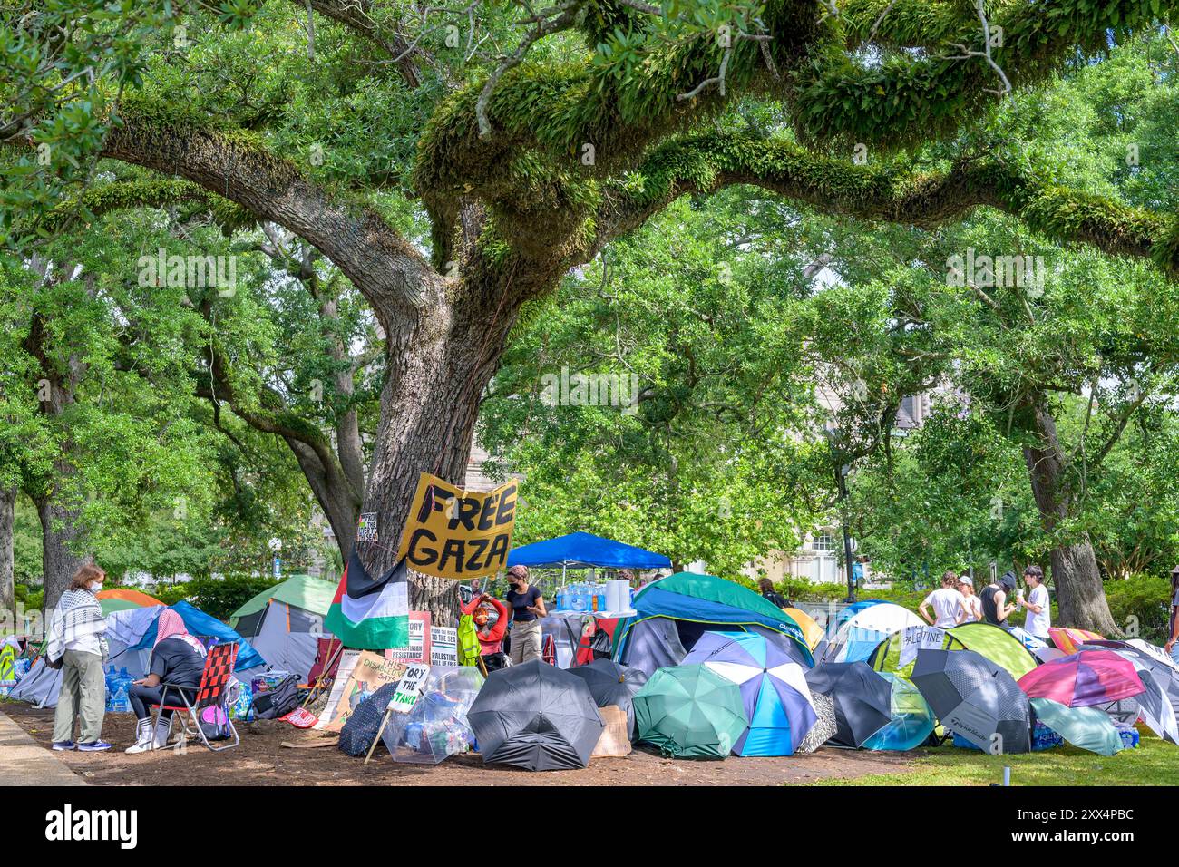 NEW ORLEANS, LA, USA - APRIL 30, 2024: Pro Palestinian Demonstrators ...