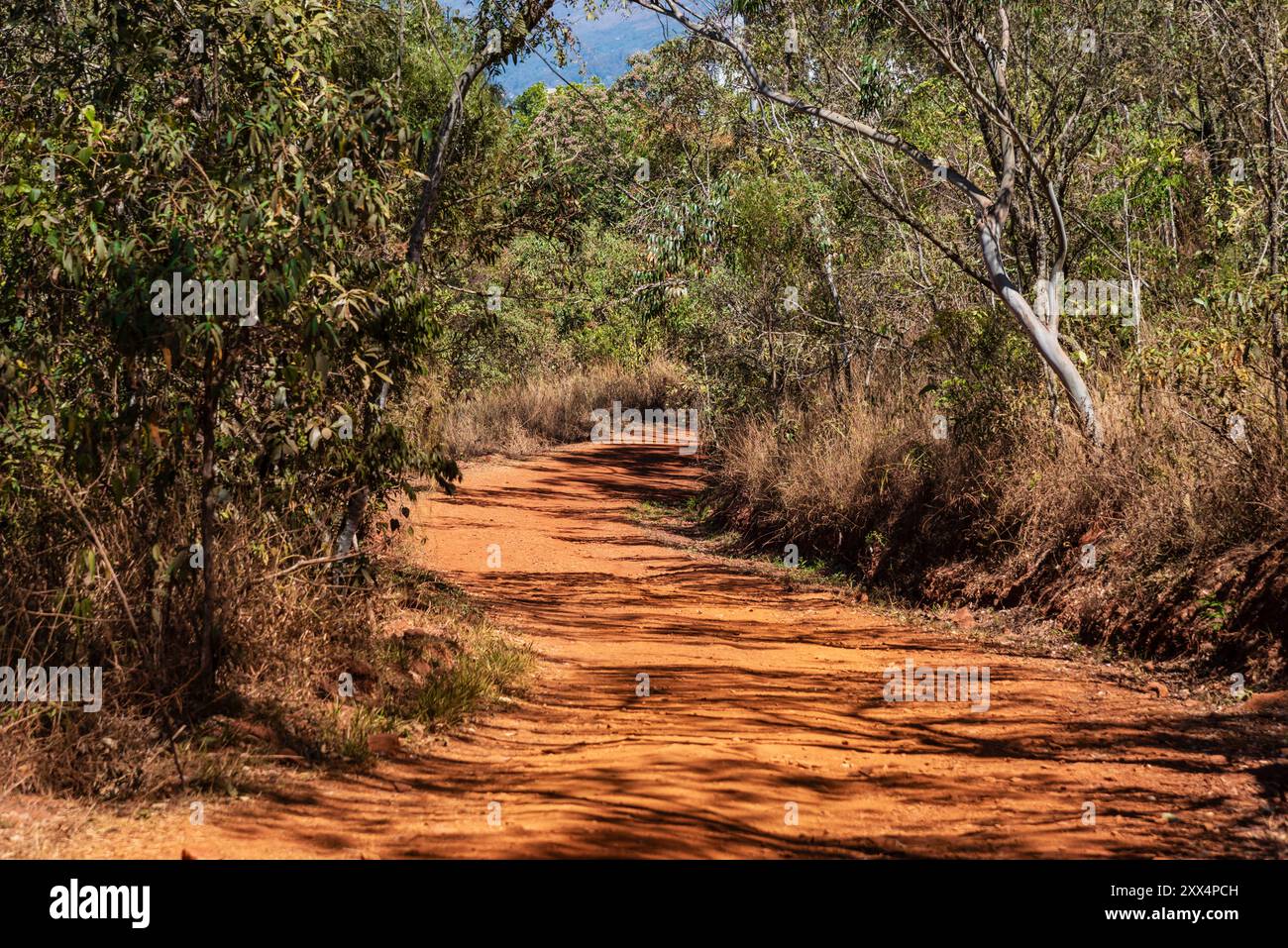 Road and trail at Parque da Serra do Curral in Belo Horizonte, Minas ...