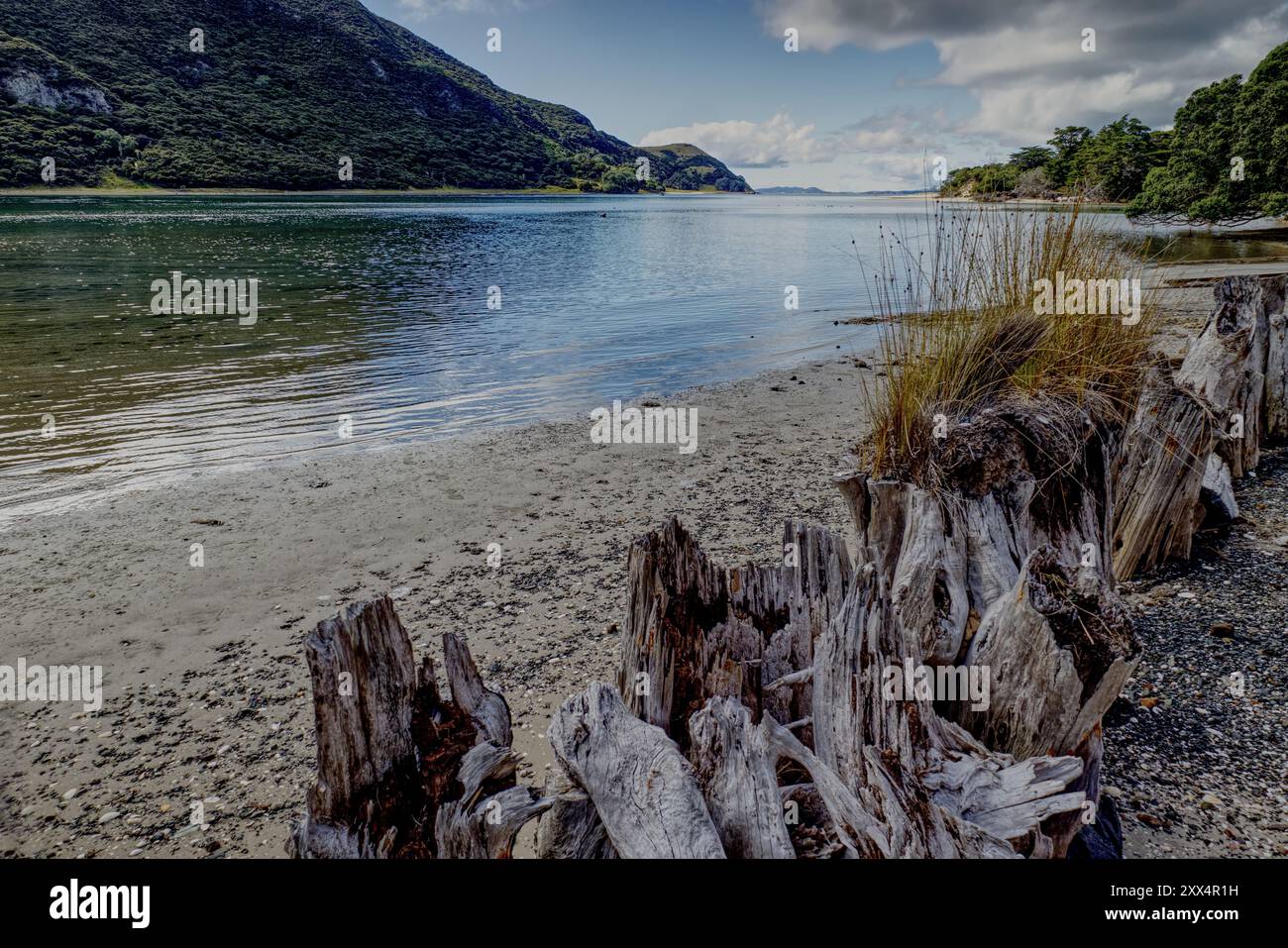 View toward the Pacific Ocean from Houhora Heads beach. Houhora is on ...