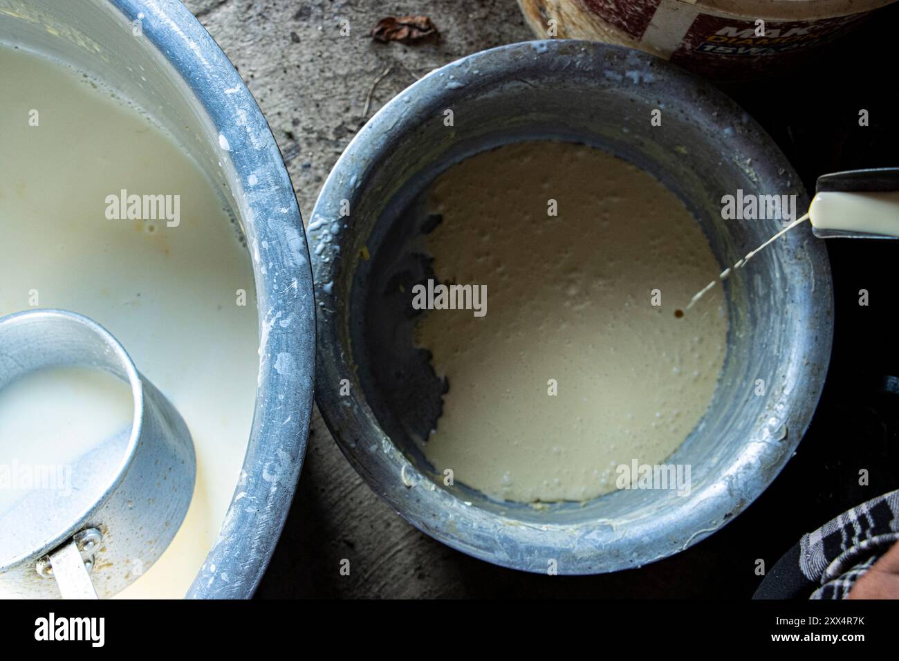 Chauri milk is boiled and churned using a modern churner that produces ...