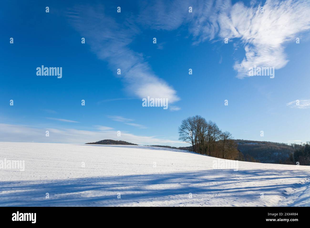 A snowy field in winter in Sauerland Stock Photo - Alamy