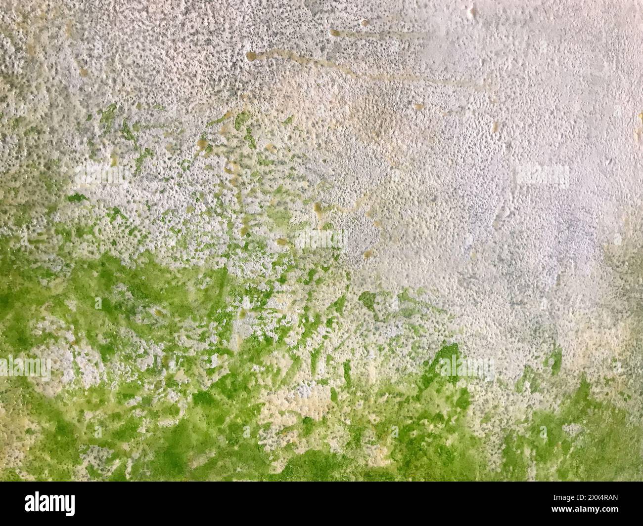 Texture of artistic plaster green and white colors. Abstract art stucco ...