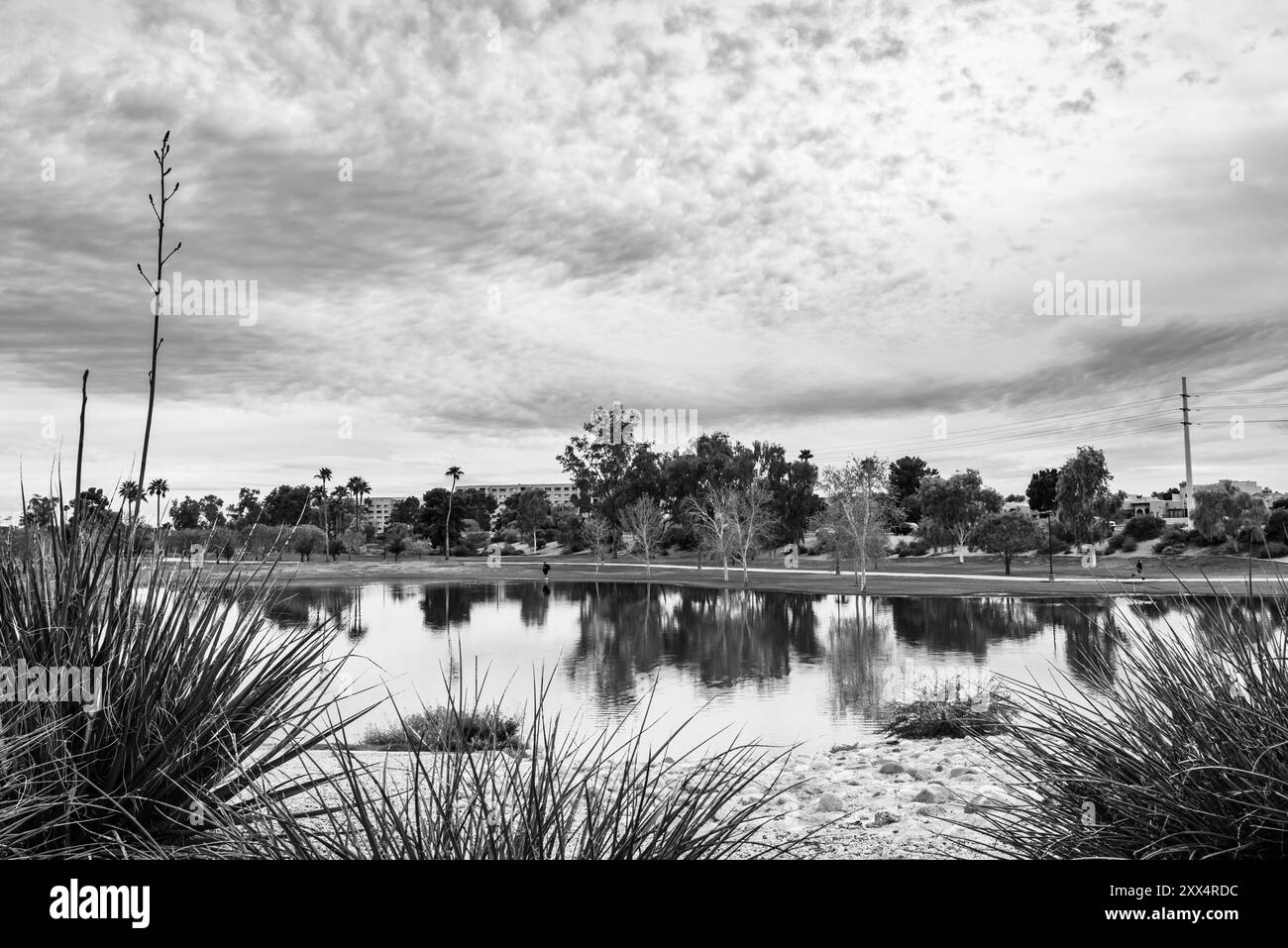 Chaparral lake Black and White Stock Photos & Images - Alamy