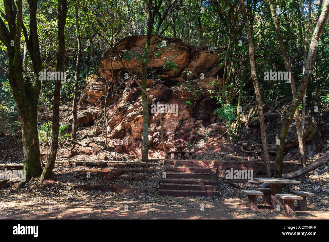 Ilha do mico estrela hi-res stock photography and images - Alamy