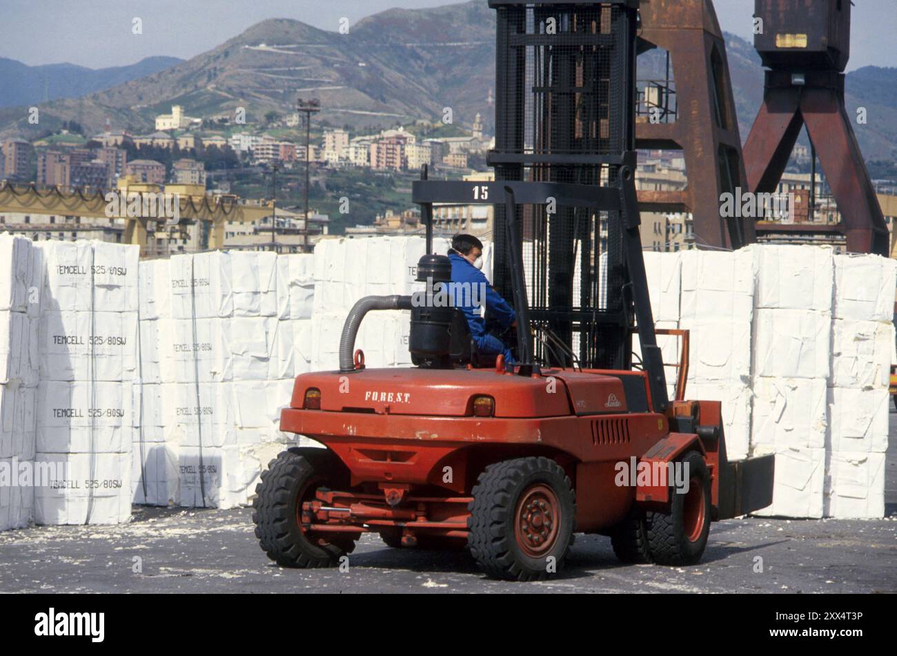 load of goods on a cargo ship in the harbour of Genoa (Italy Stock ...