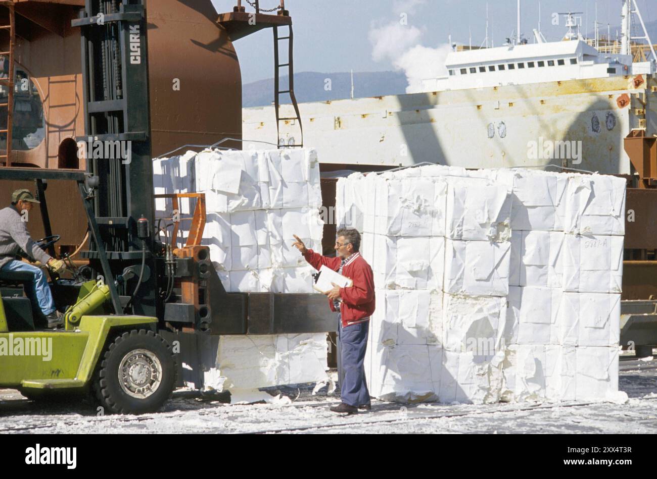 load of goods on a cargo ship in the harbour of Genoa (Italy Stock ...