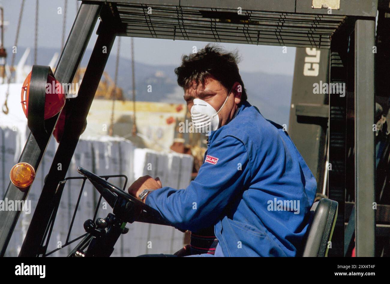 load of goods on a cargo ship in the harbour of Genoa (Italy Stock ...