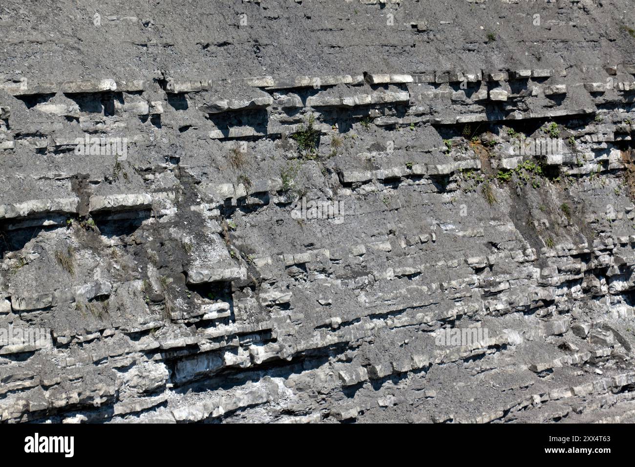 Part of the lower lias group hi-res stock photography and images - Alamy