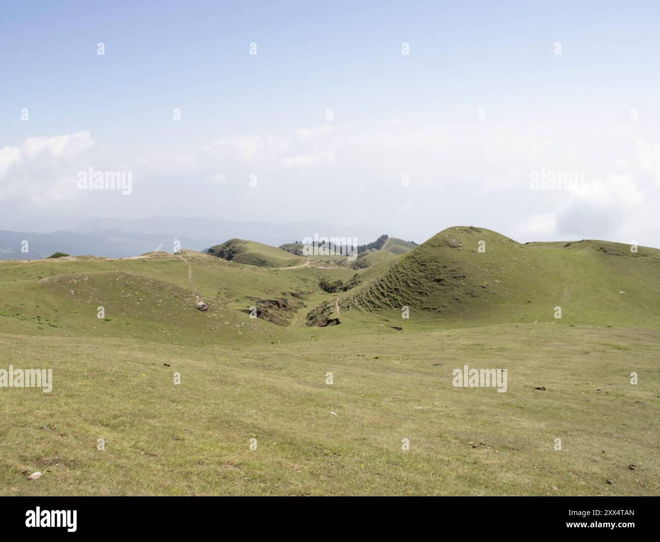 Rolling Hills and Steppes in Sailung at 3200 m is a grazing ground for ...