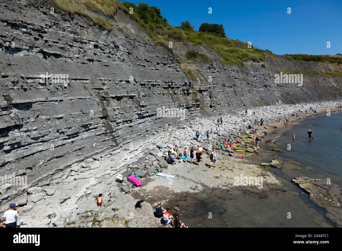 Mary anning fossil hi-res stock photography and images - Alamy