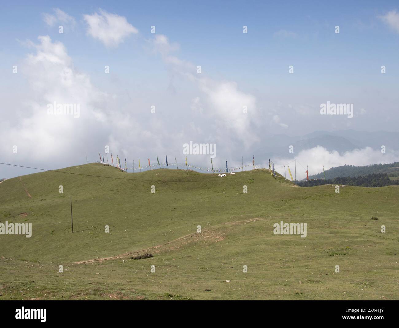 Rolling Hills and Steppes in Sailung at 3200 m is a grazing ground for ...