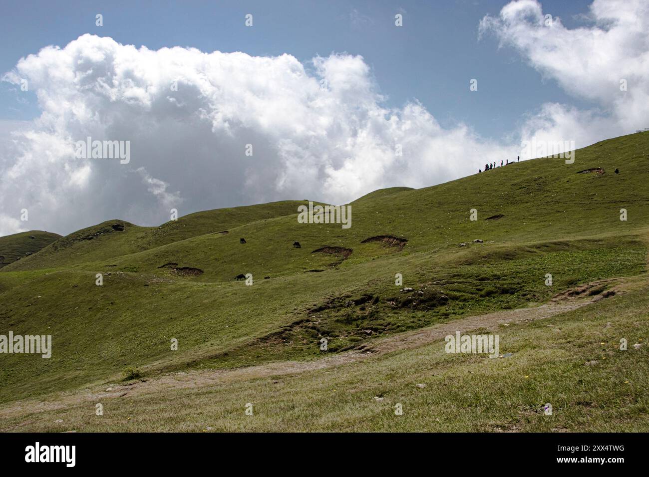Rolling Hills and Steppes in Sailung at 3200 m is a grazing ground for ...