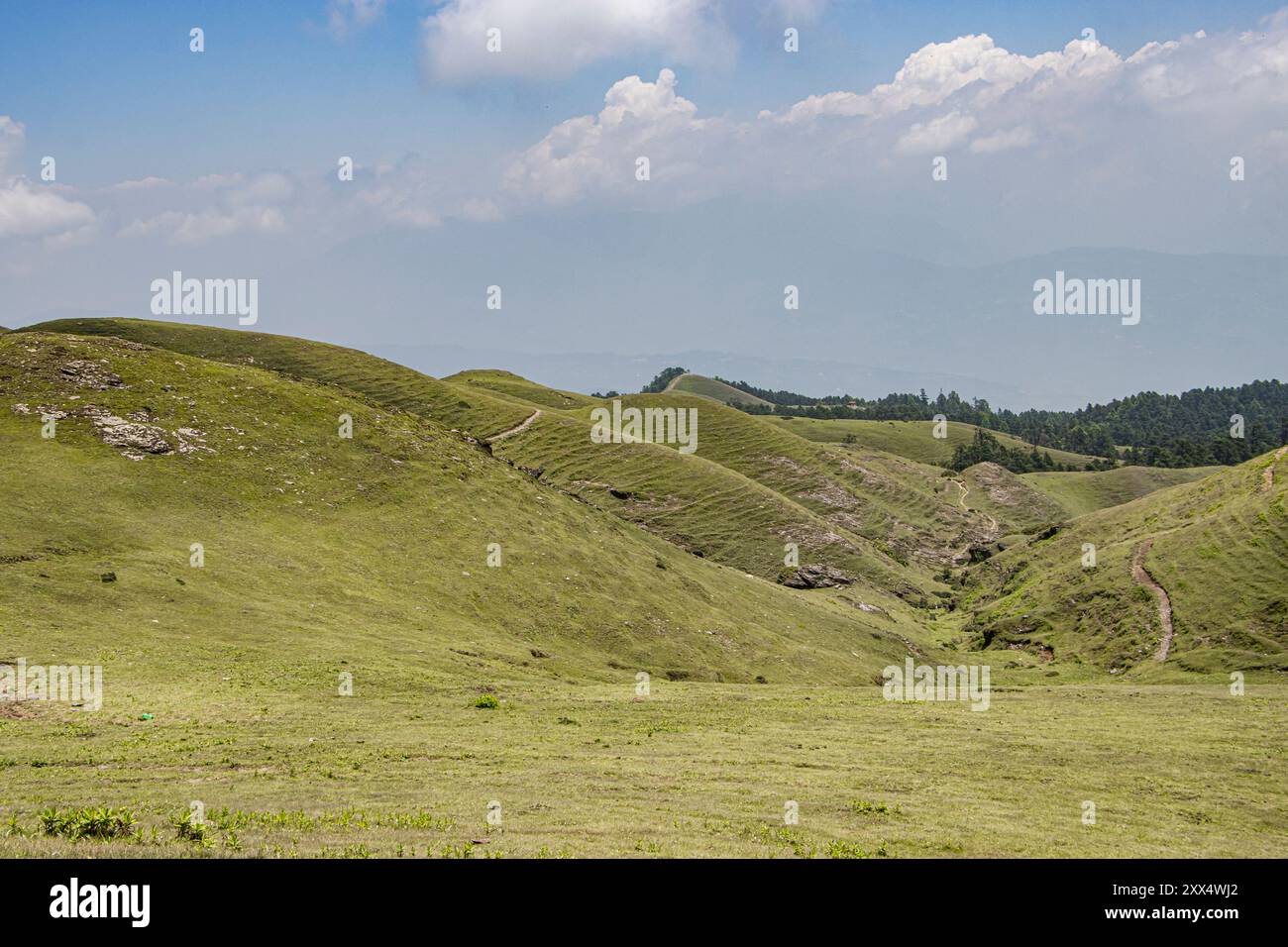 Rolling Hills and Steppes in Sailung at 3200 m is a grazing ground for ...