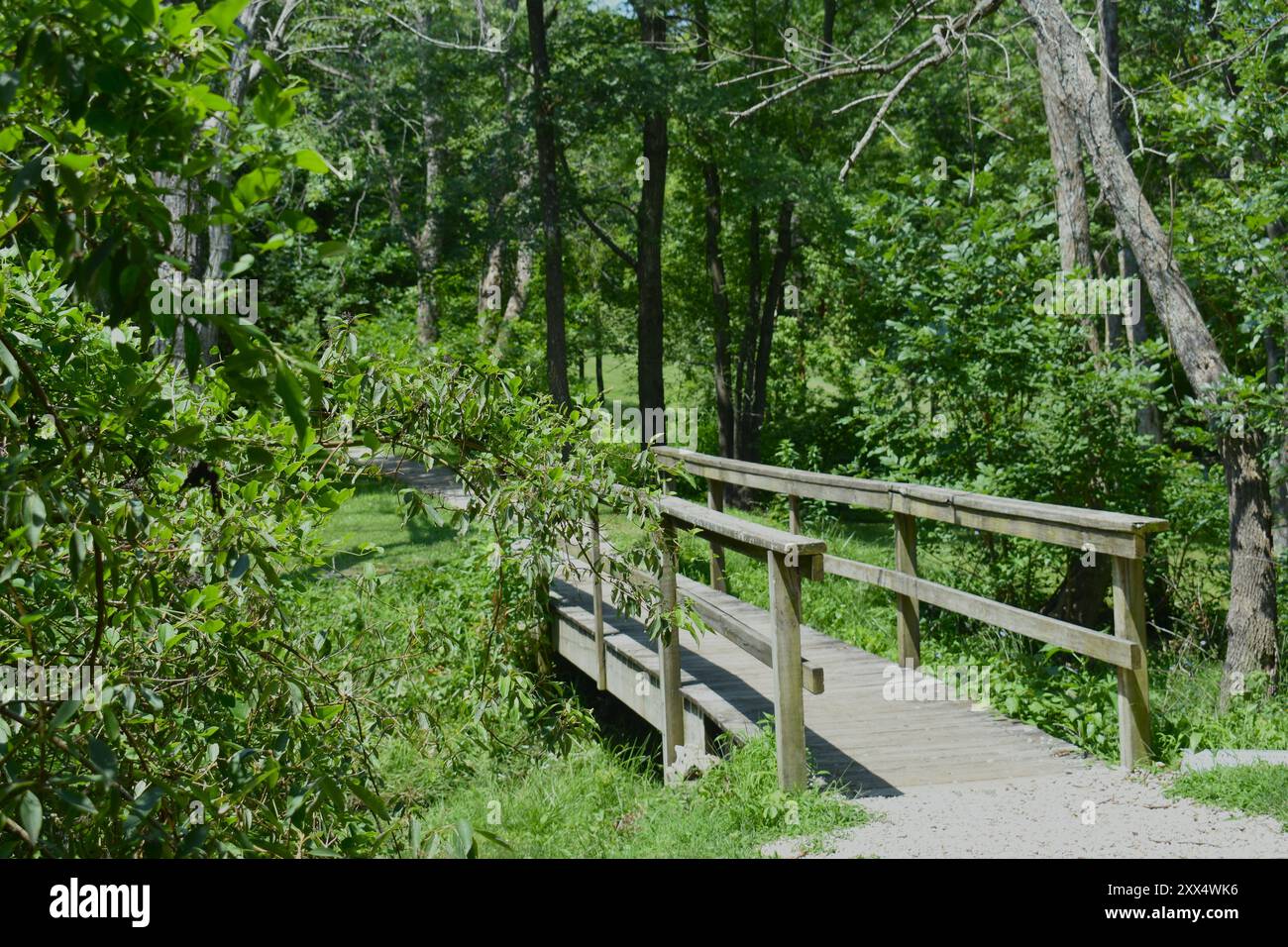 A small wooden bridge crosses a spring branch at Hidden Waters Park in ...