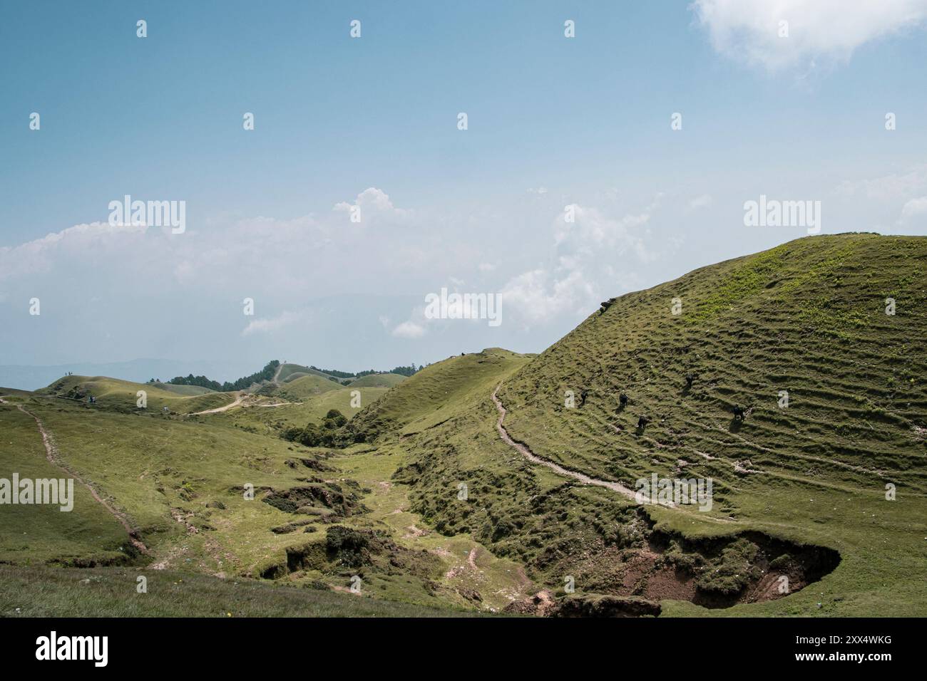 Rolling Hills and Steppes in Sailung at 3200 m is a grazing ground for ...