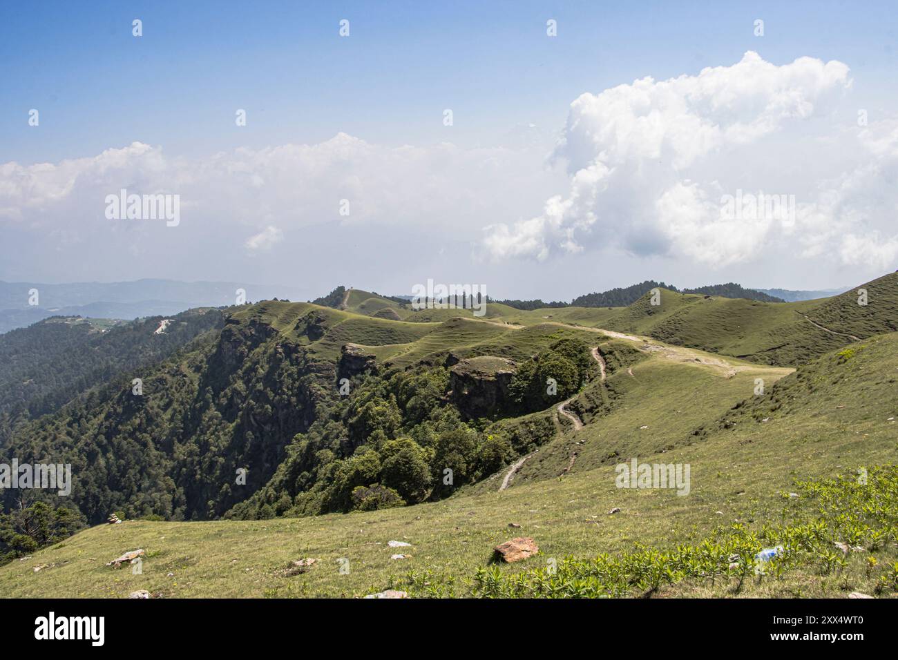 Rolling Hills and Steppes in Sailung at 3200 m is a grazing ground for ...