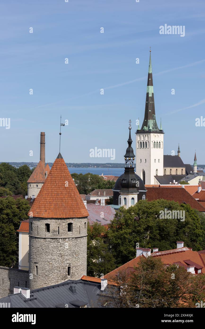 Old town panoramic view, Tallinn, Estonia, Europe Stock Photo - Alamy