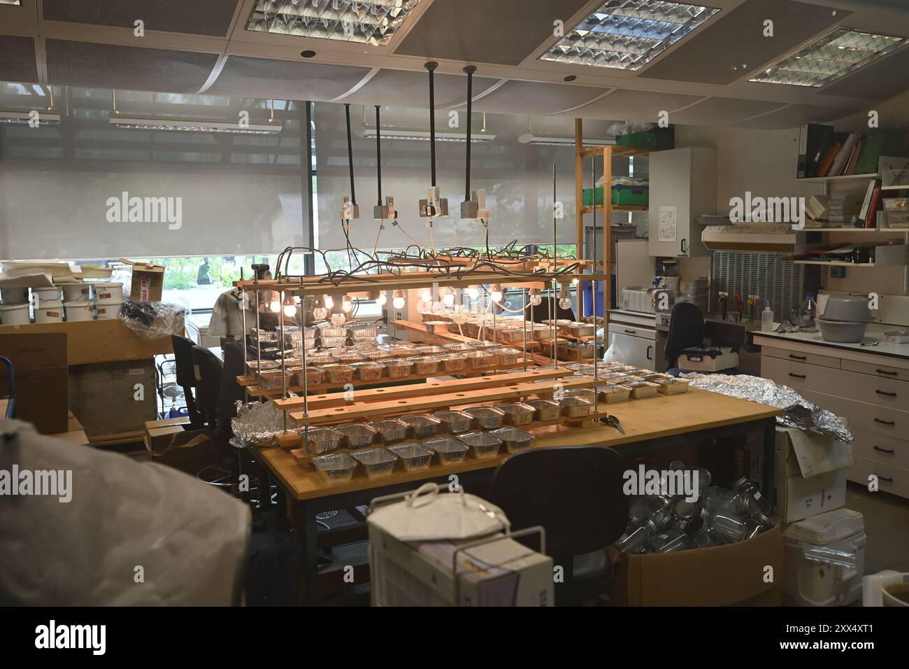 A working laboratory in the Spirit Collection at The Natural History ...