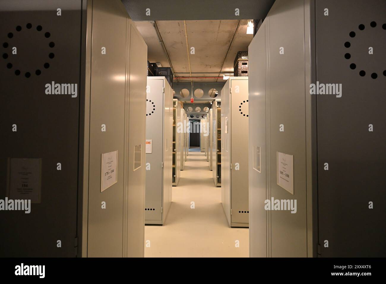 Storage cabinets for wet specimens at the Spirit Collection in the ...