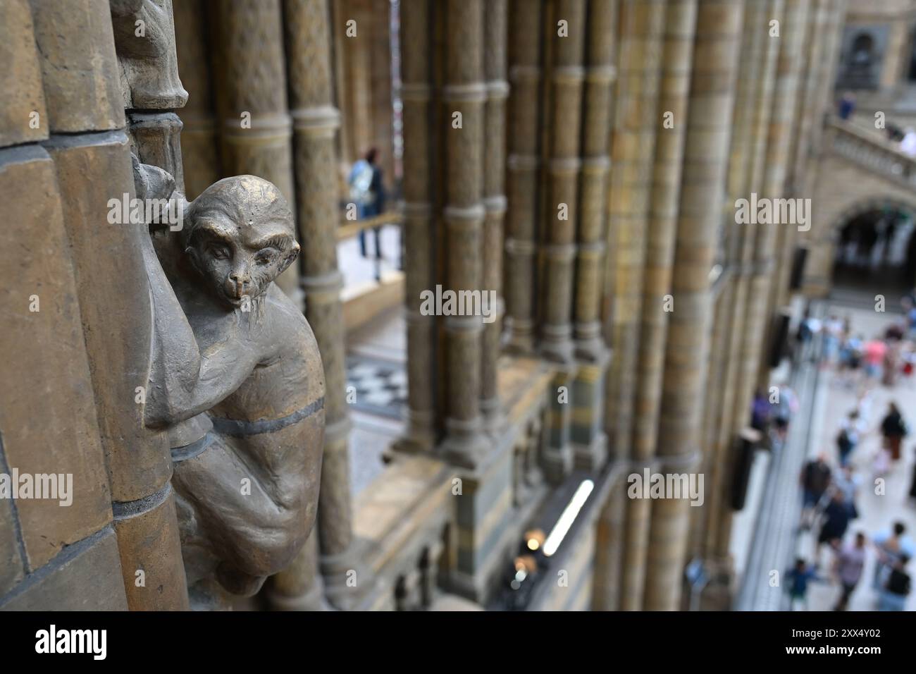 A carved stone monkey in the interior of The Hintze Hall in The Natural ...