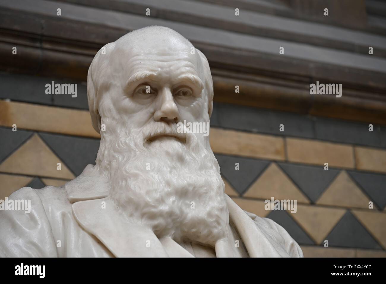 A marble statue of Charles Darwin overlooking the Hintze Hall in the ...