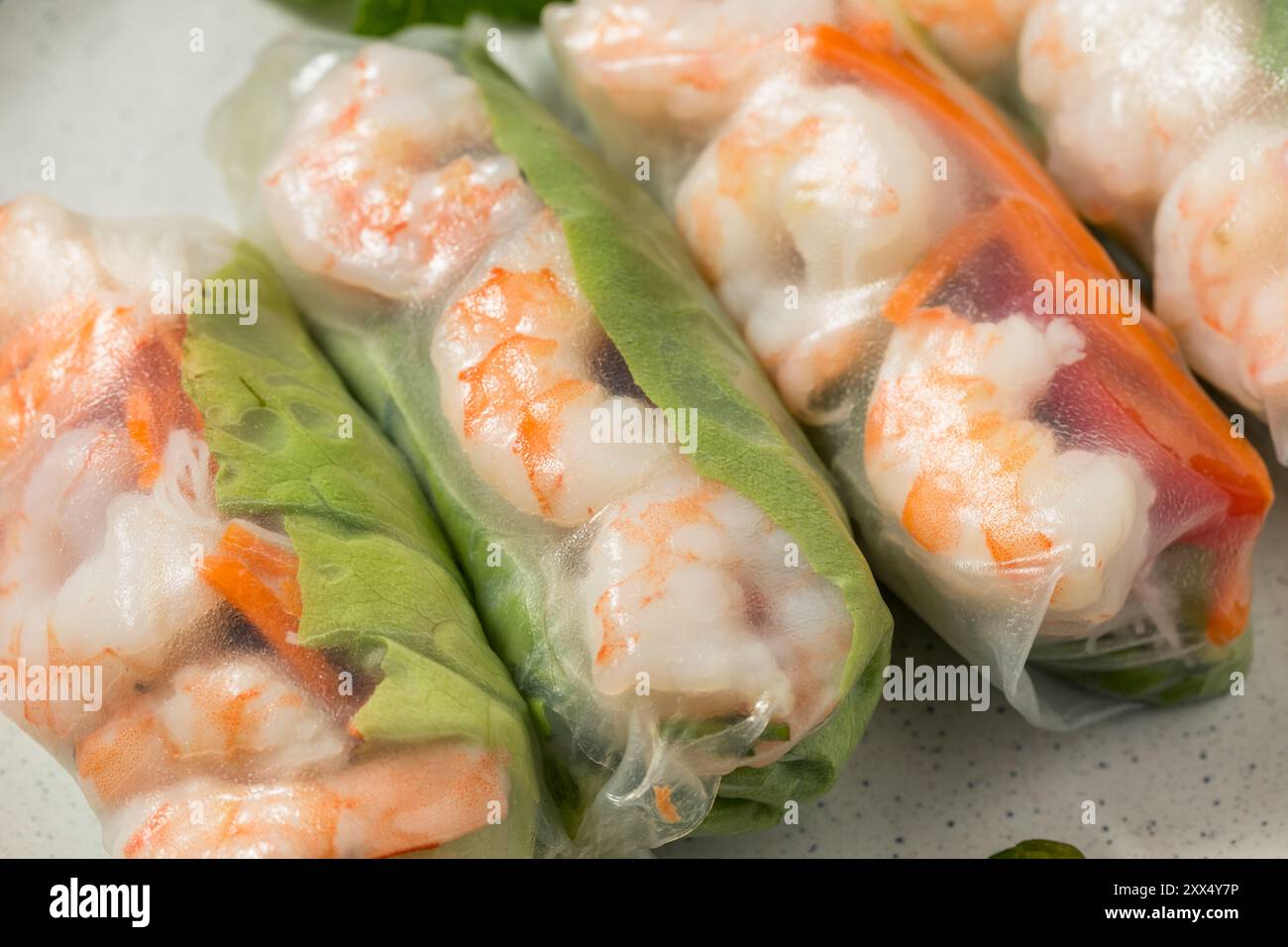 Homemade Vietnamese Shrimp Spring Rolls with Lettuce and Vegetables ...