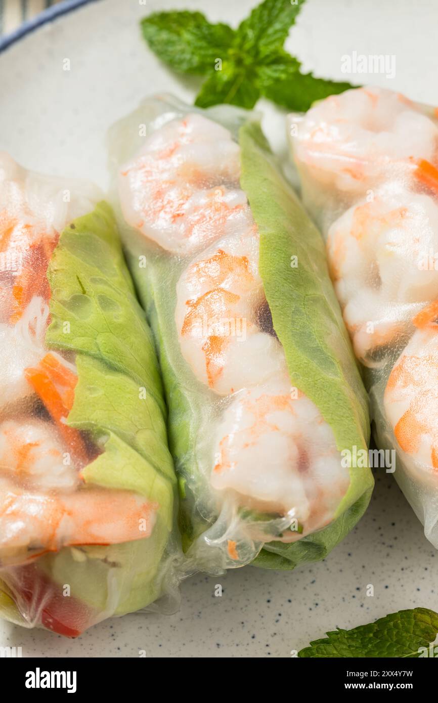 Homemade Vietnamese Shrimp Spring Rolls with Lettuce and Vegetables ...