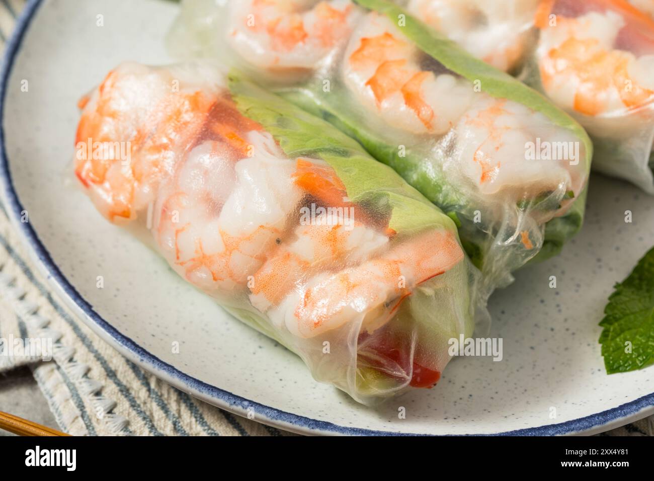 Homemade Vietnamese Shrimp Spring Rolls with Lettuce and Vegetables ...