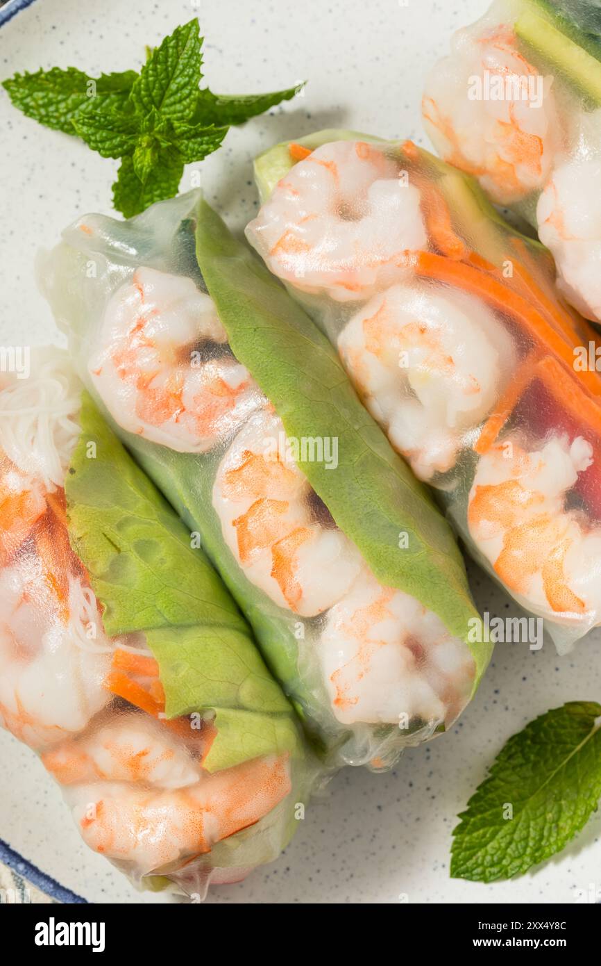 Homemade Vietnamese Shrimp Spring Rolls with Lettuce and Vegetables ...