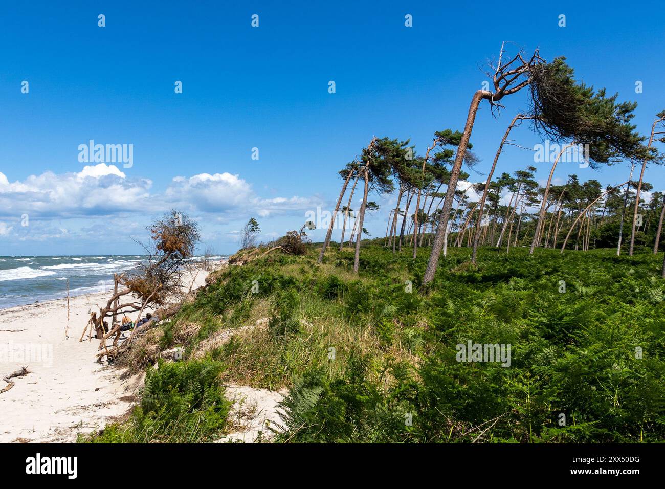 Ostseesturm hi-res stock photography and images - Alamy