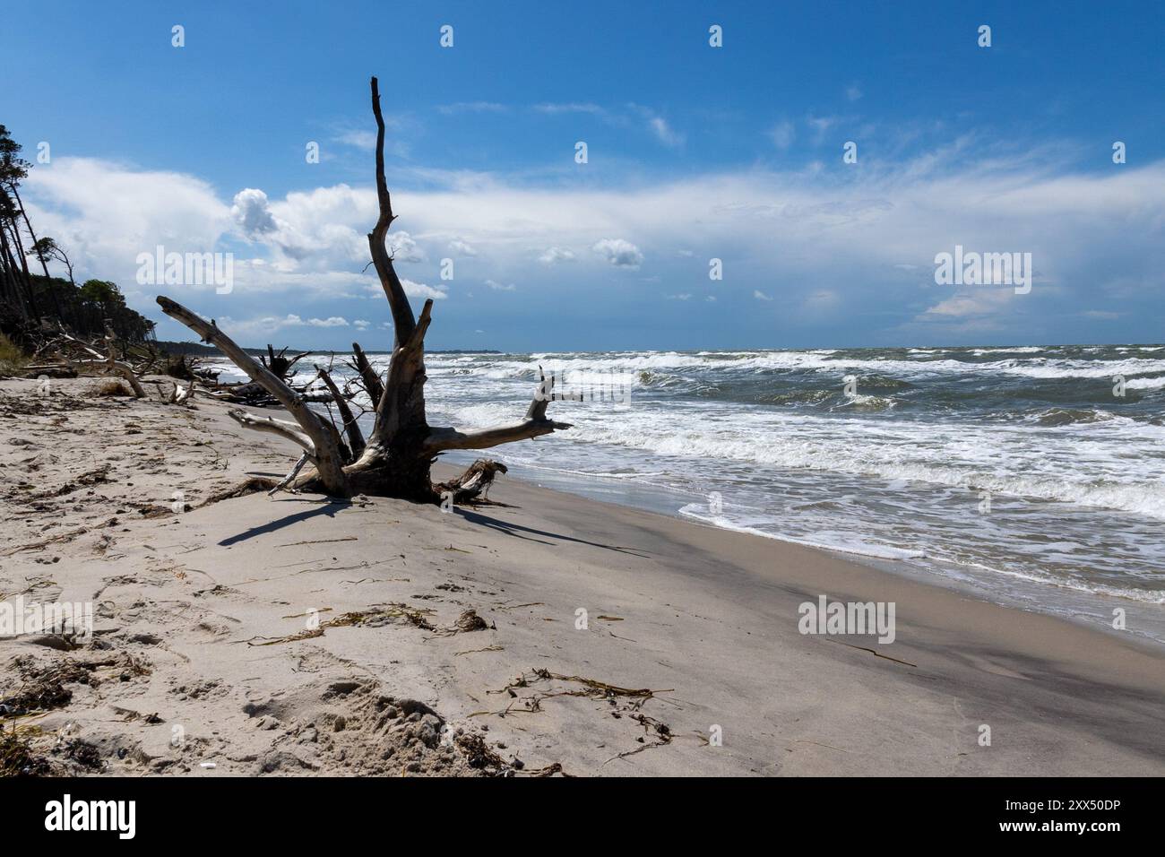 Sommer am strand hi-res stock photography and images - Alamy