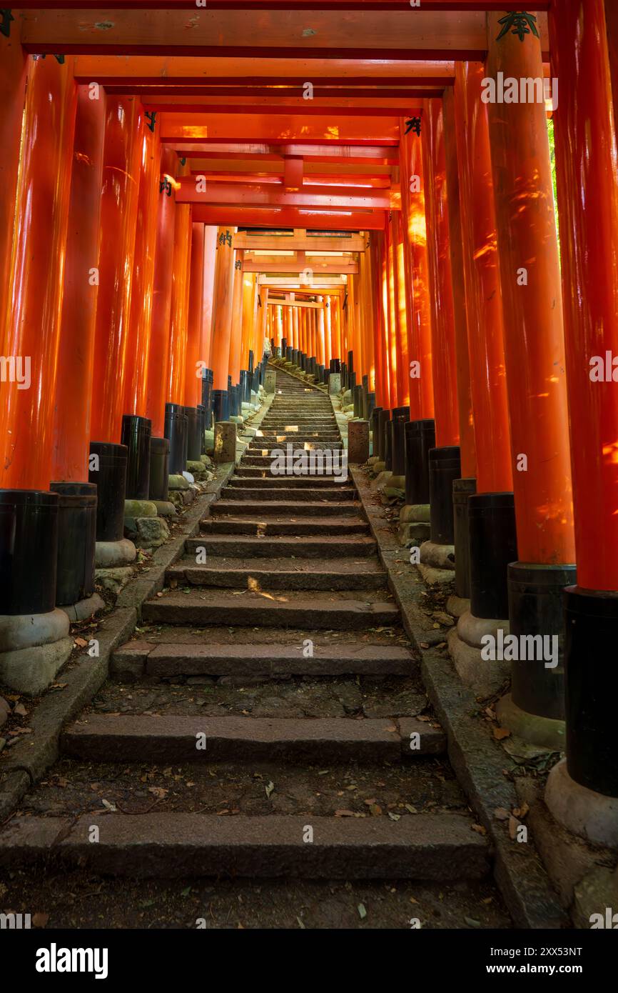 Traditional Tori Gates at Fushimi Inari Taisha in Kyoto, Japan Stock ...