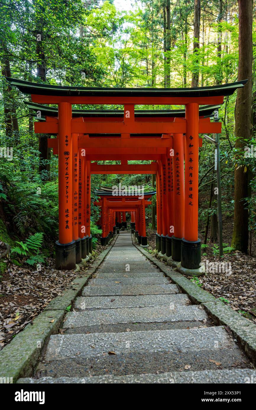 Traditional Tori Gates at Fushimi Inari Taisha in Kyoto, Japan Stock ...