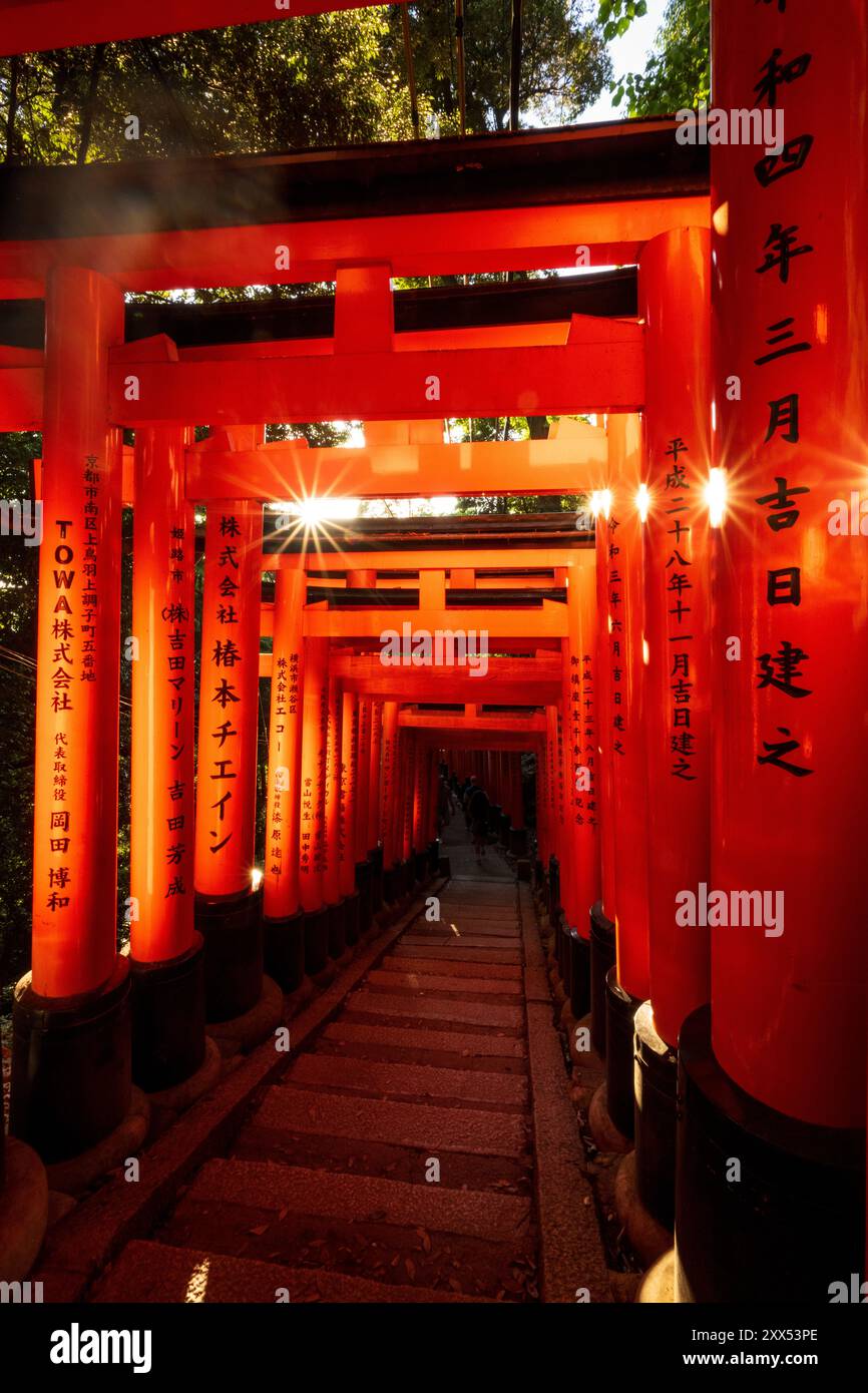 Traditional Tori Gates at Fushimi Inari Taisha in Kyoto, Japan Stock ...