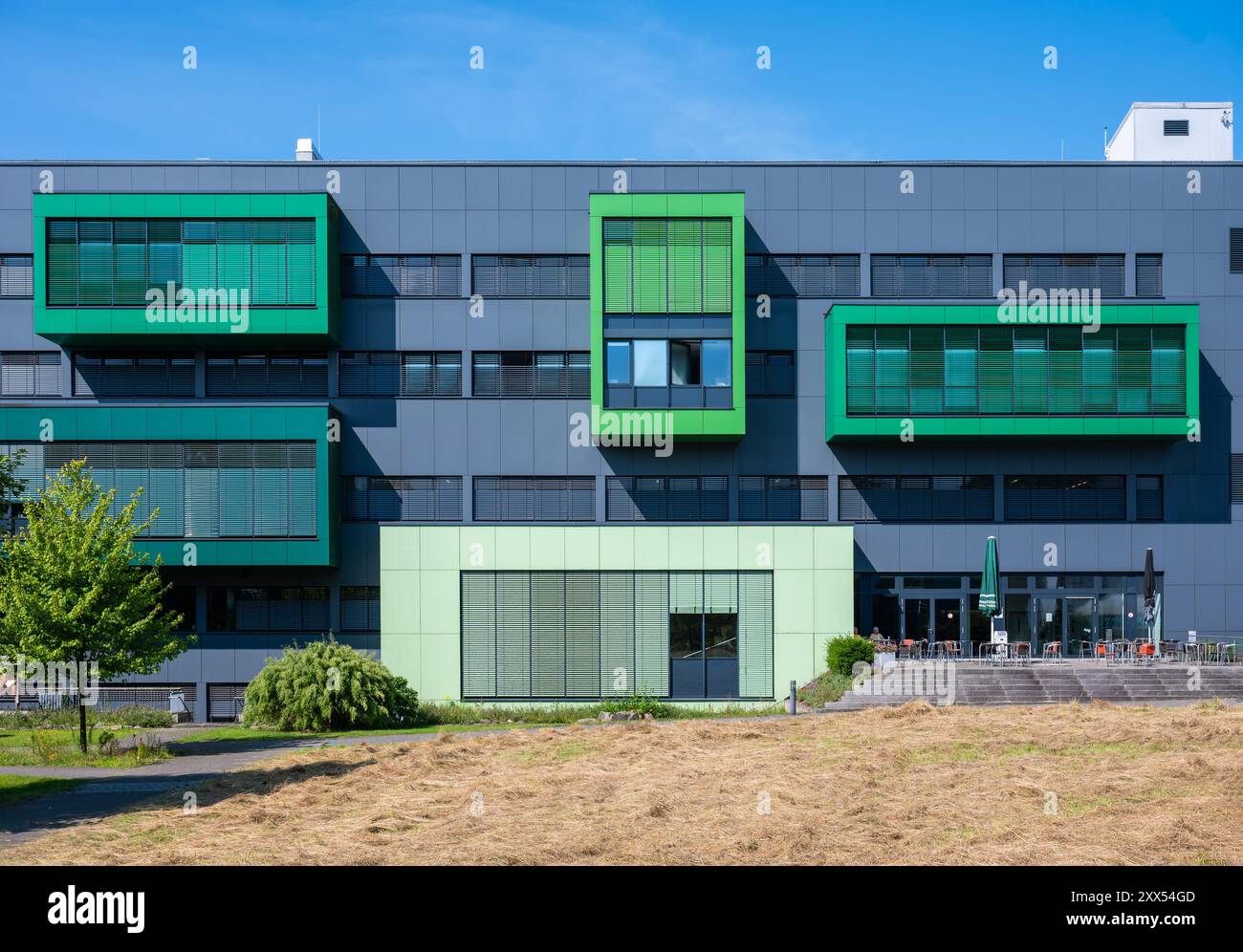 Hamburg, Germany, July 19, 2024 - Buildings of the botany department of ...