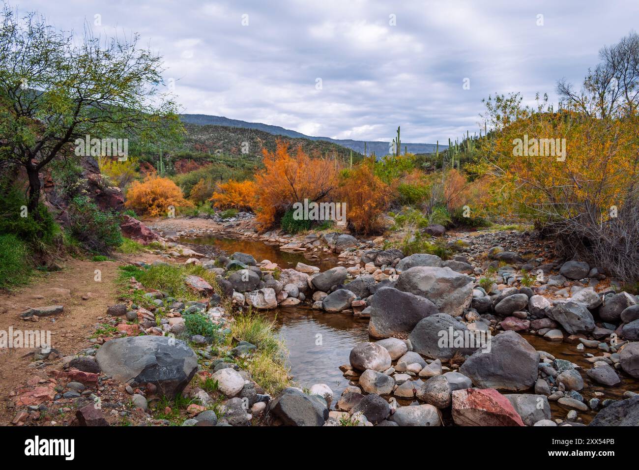 Cloudy Day at Cave Creek at Spur Cross Ranch Conservation Area in ...