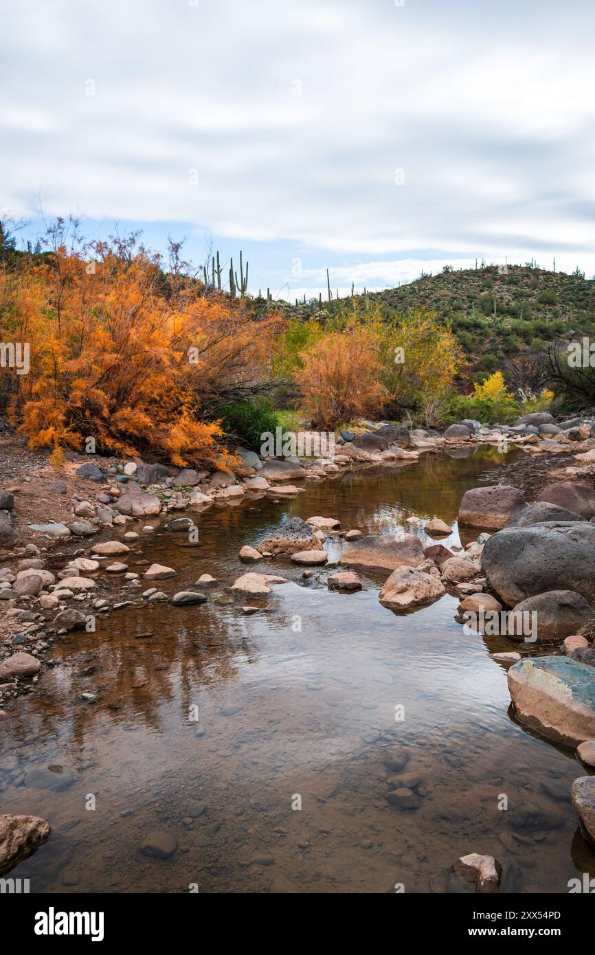 A portion of the Cave Creek at Spur Cross Ranch Conservation Area in ...